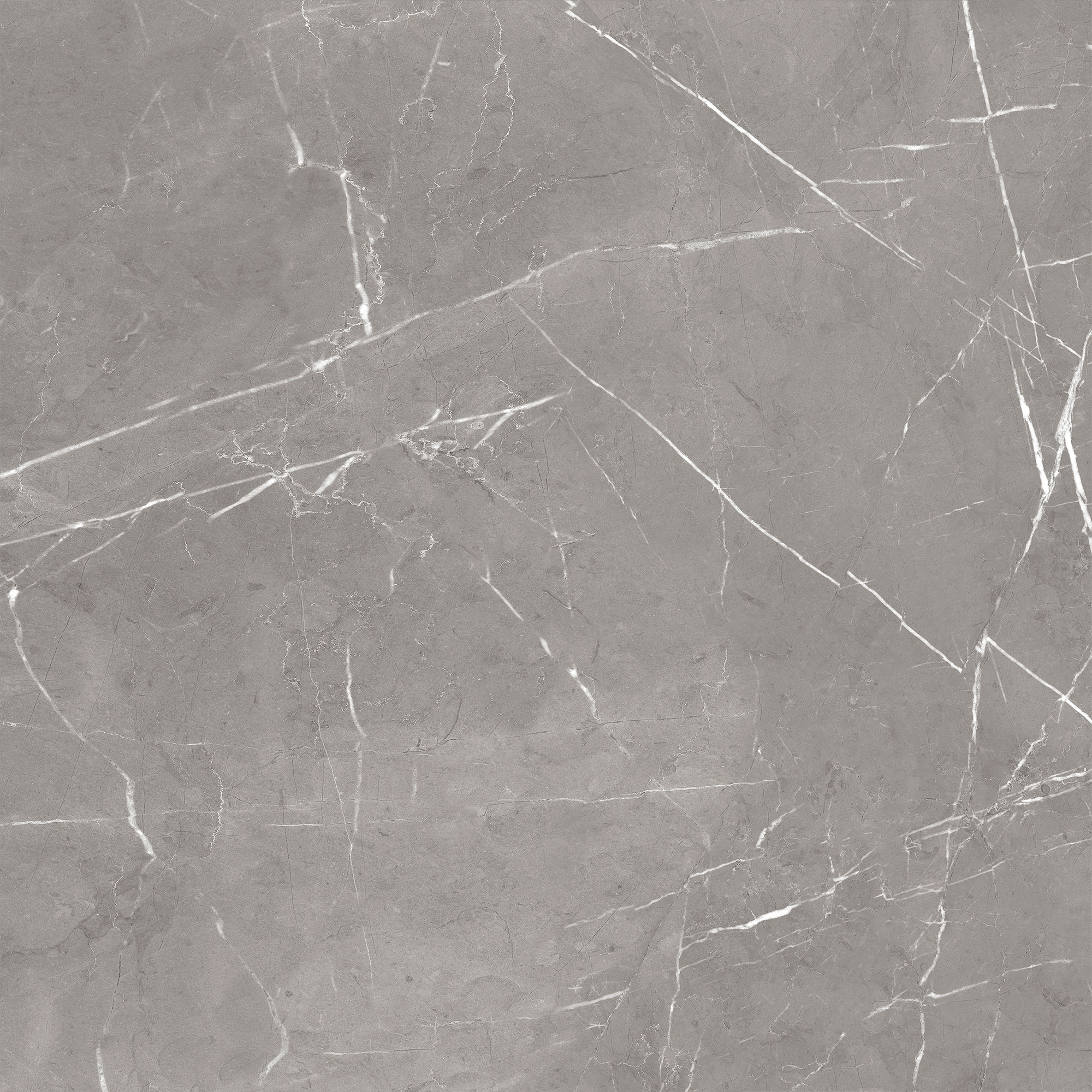 Керамогранит Encanto GT60603001SPR Серый 60x60 — Global Tile