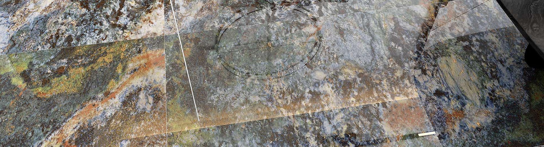 Medusa — Global Tile